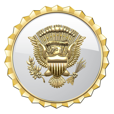 Military Insignia 3D : Presidential Service Badge (PSB)